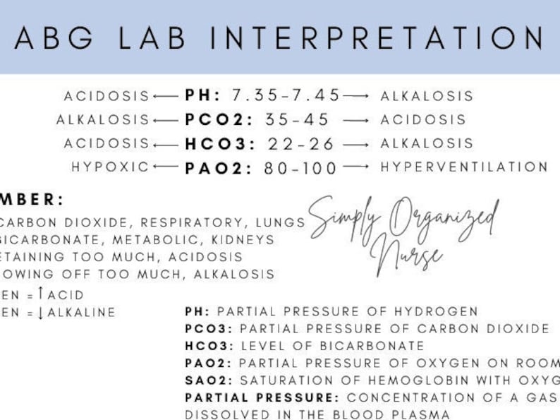 Nursing ABG Lab Study Guide - Etsy