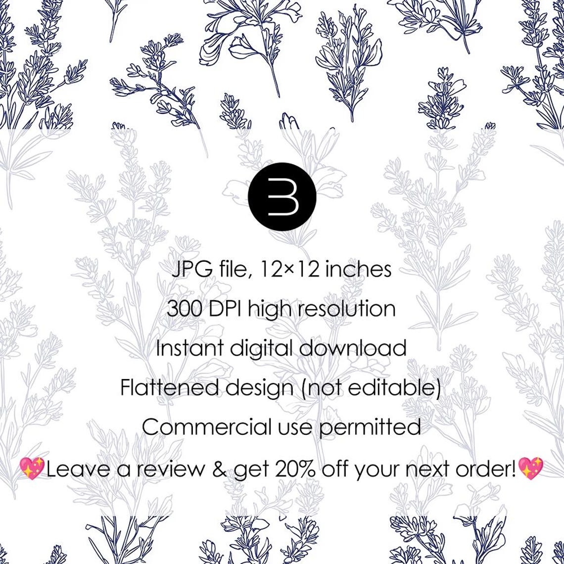 Minimal Herb Line Art Pattern - Seamless Lavender, Rosemary, Thyme ...