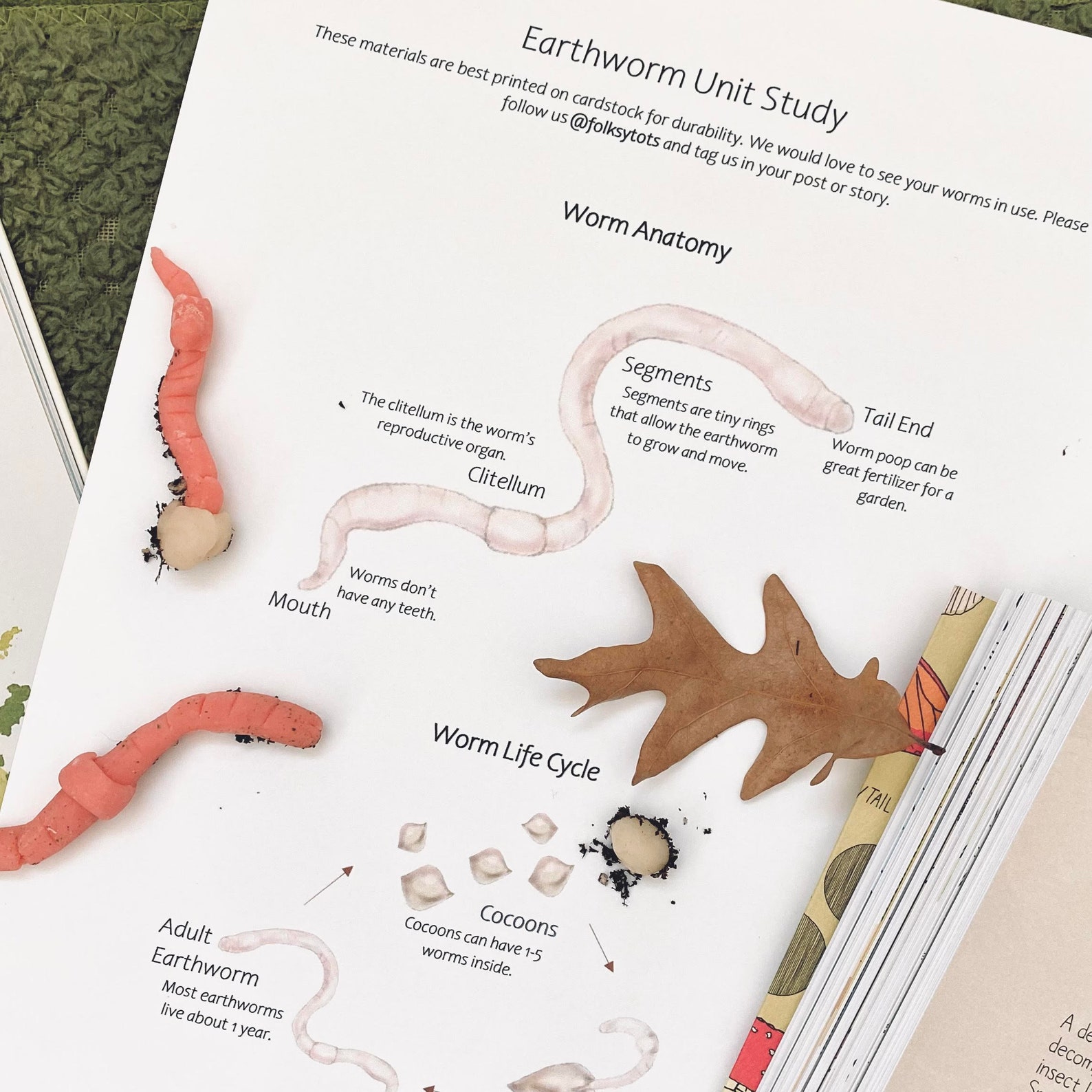 Earthworm Nature Unit Study for Kids Curriculum Ages 3-8 Fun Learning ...