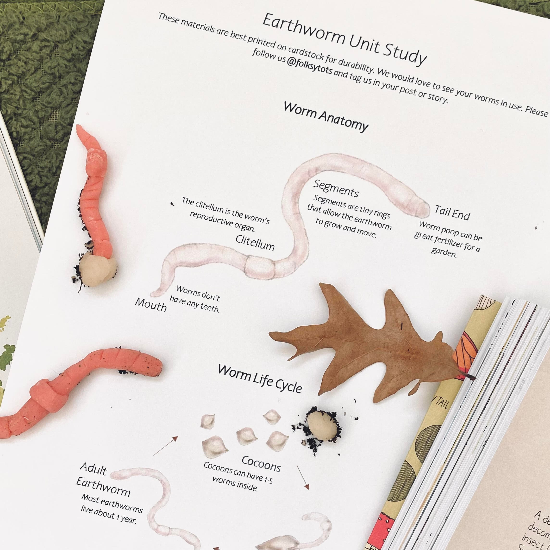 Earthworm Nature Study Unit: Kids Curriculum (ages 3-8) (digital ...