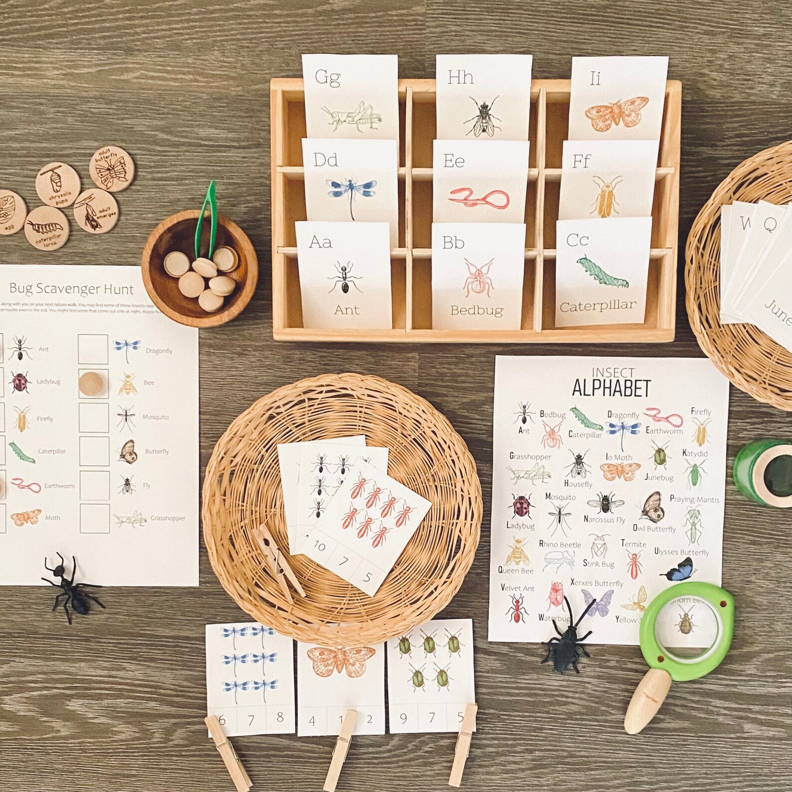 Bug Early Learning Bundle Unit Study for Ages 2-8 Nature Inspired Paly ...