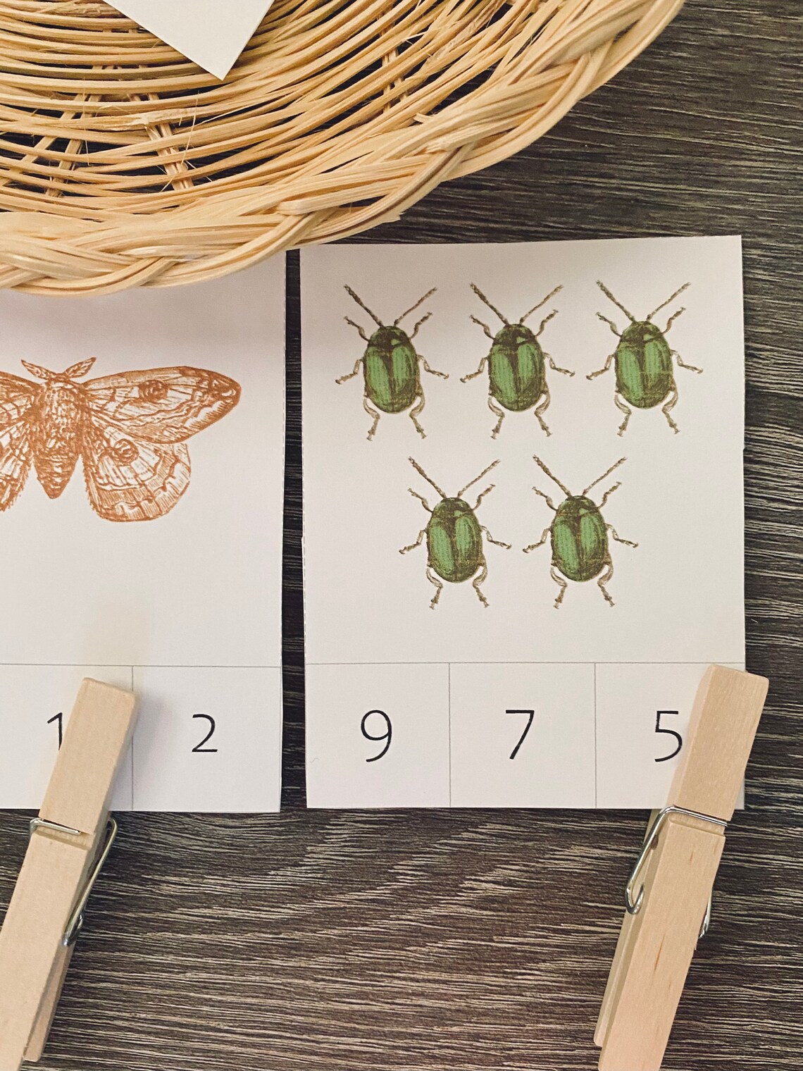 Bug Early Learning Bundle Unit Study for Ages 2-8 Nature Inspired Paly ...