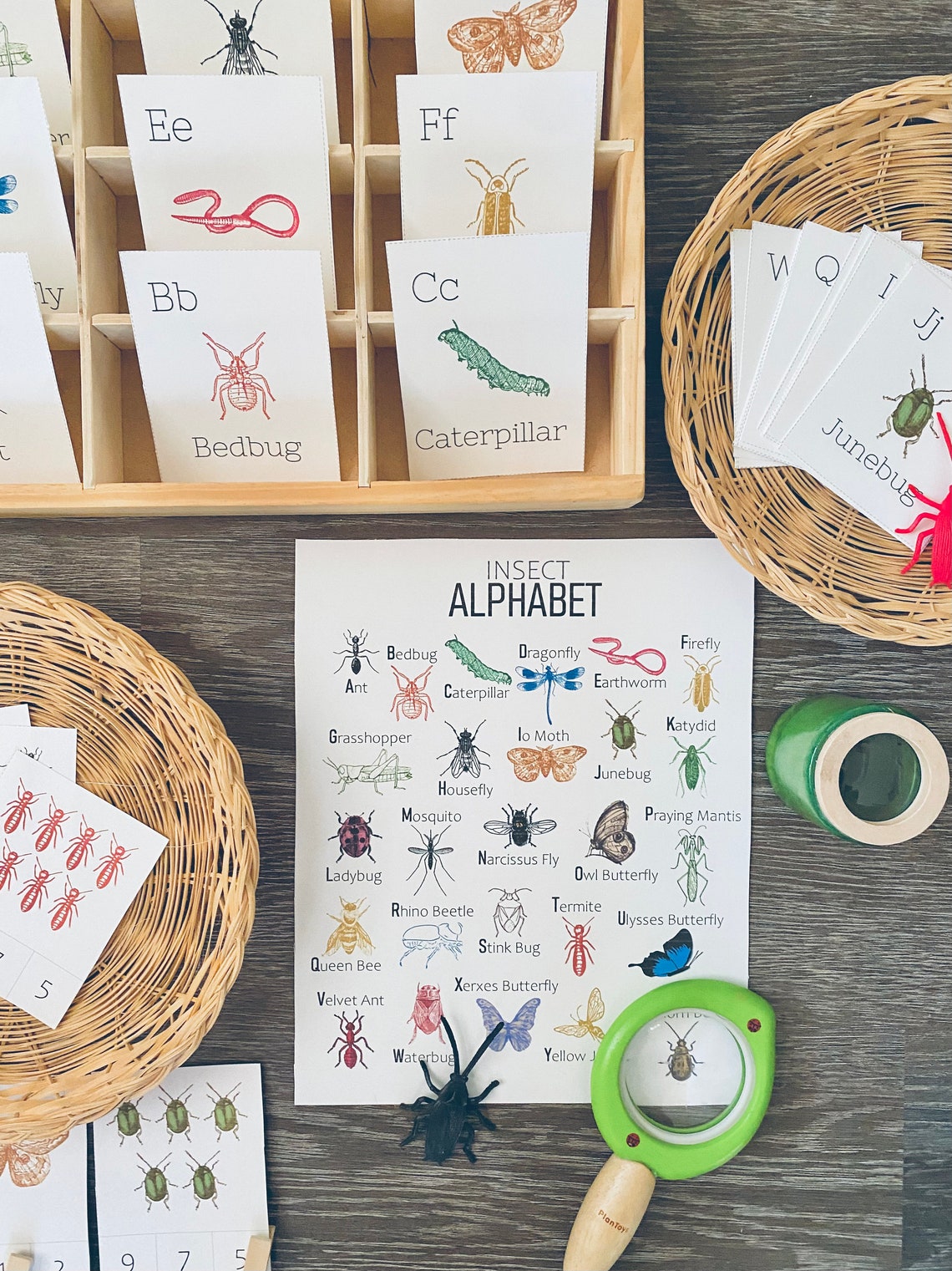 Bug Early Learning Bundle Unit Study for Ages 2-8 Nature Inspired Paly ...