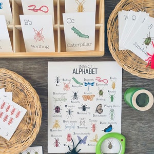 Bug Early Learning Bundle Unit Study for Ages 2-8 Nature Inspired Paly ...