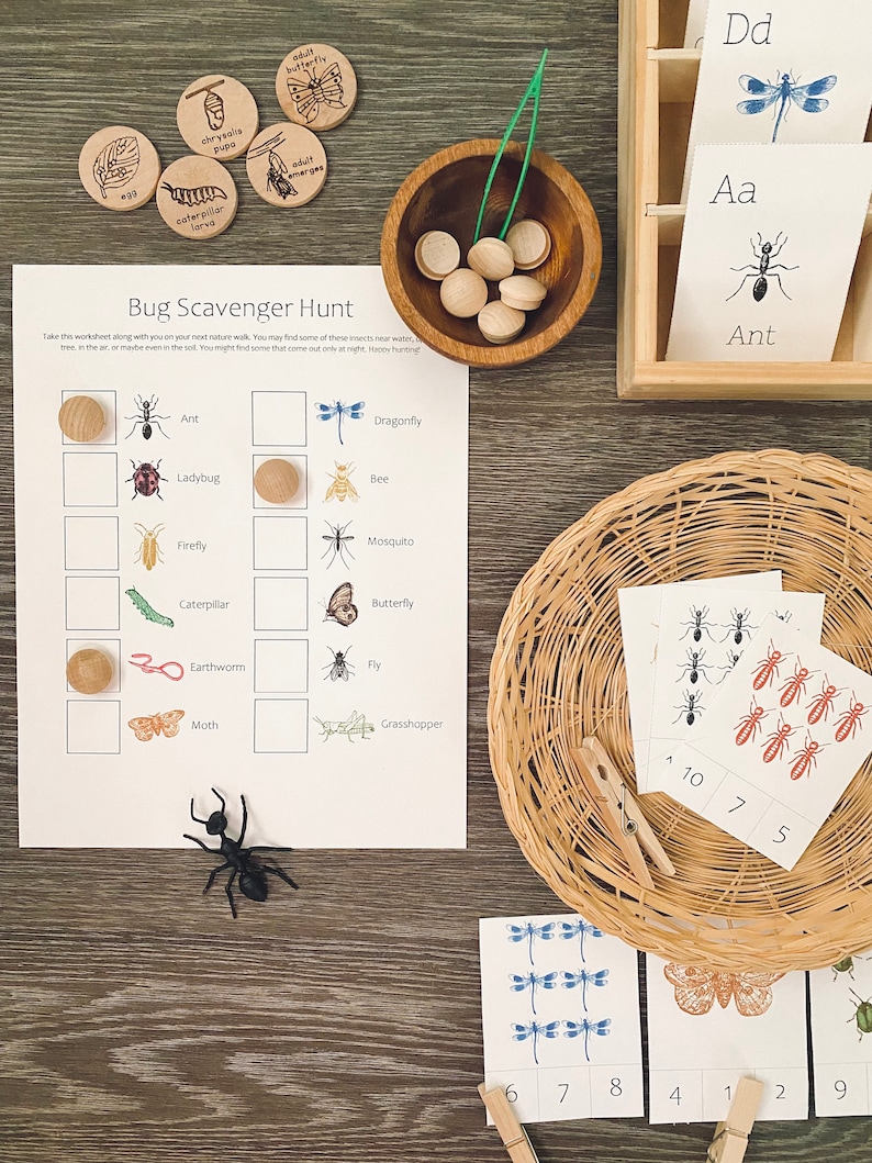 Bug Early Learning Bundle Unit Study for Ages 2-8 Nature Inspired Paly ...