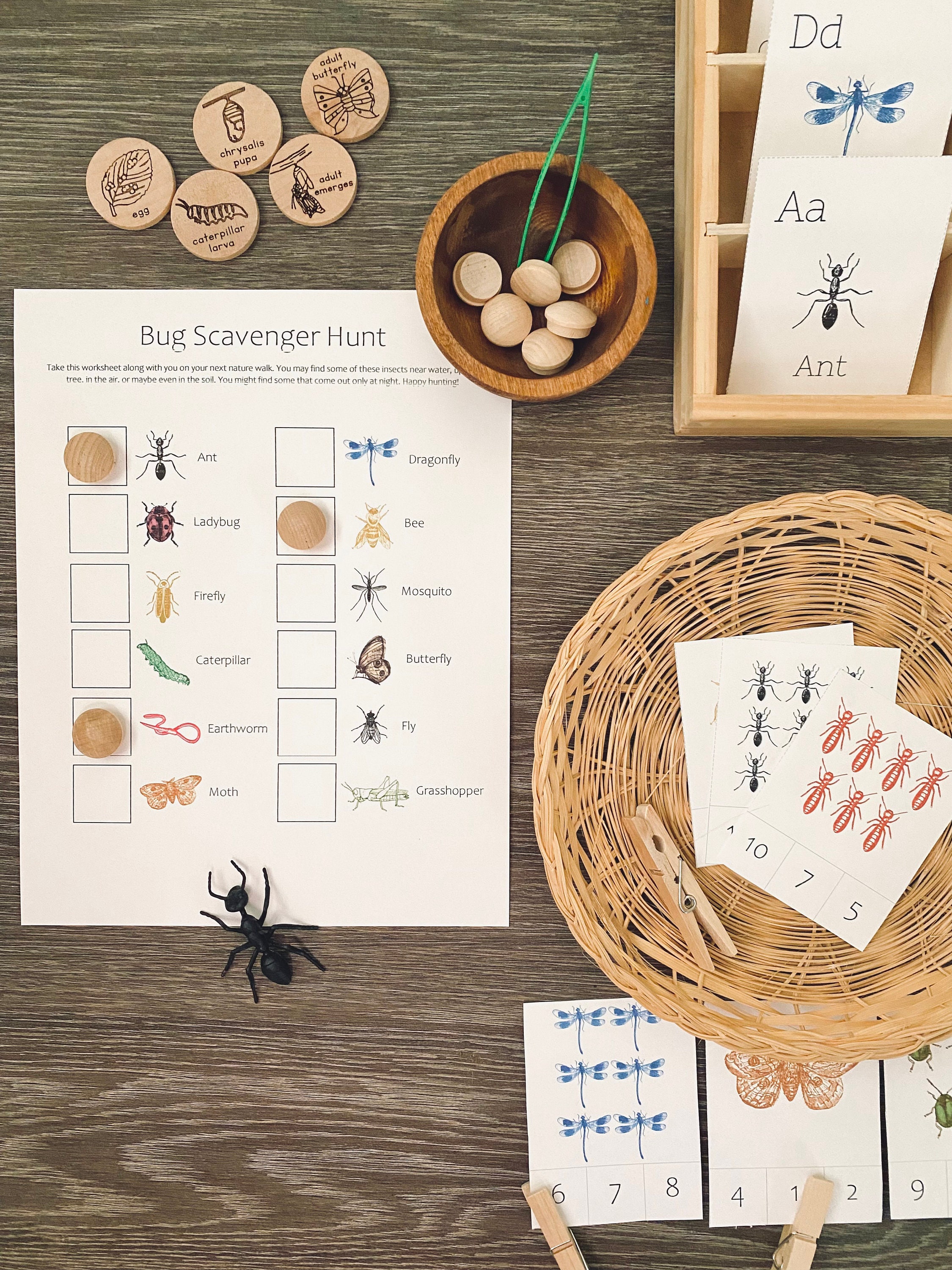 Bug Early Learning Bundle Unit Study for Ages 2-8 Nature Inspired Paly ...