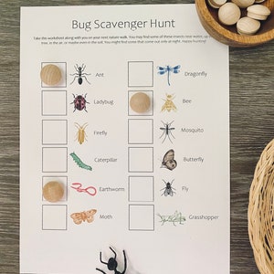 Bug Early Learning Bundle Unit Study for Ages 2-8 Nature Inspired Paly ...