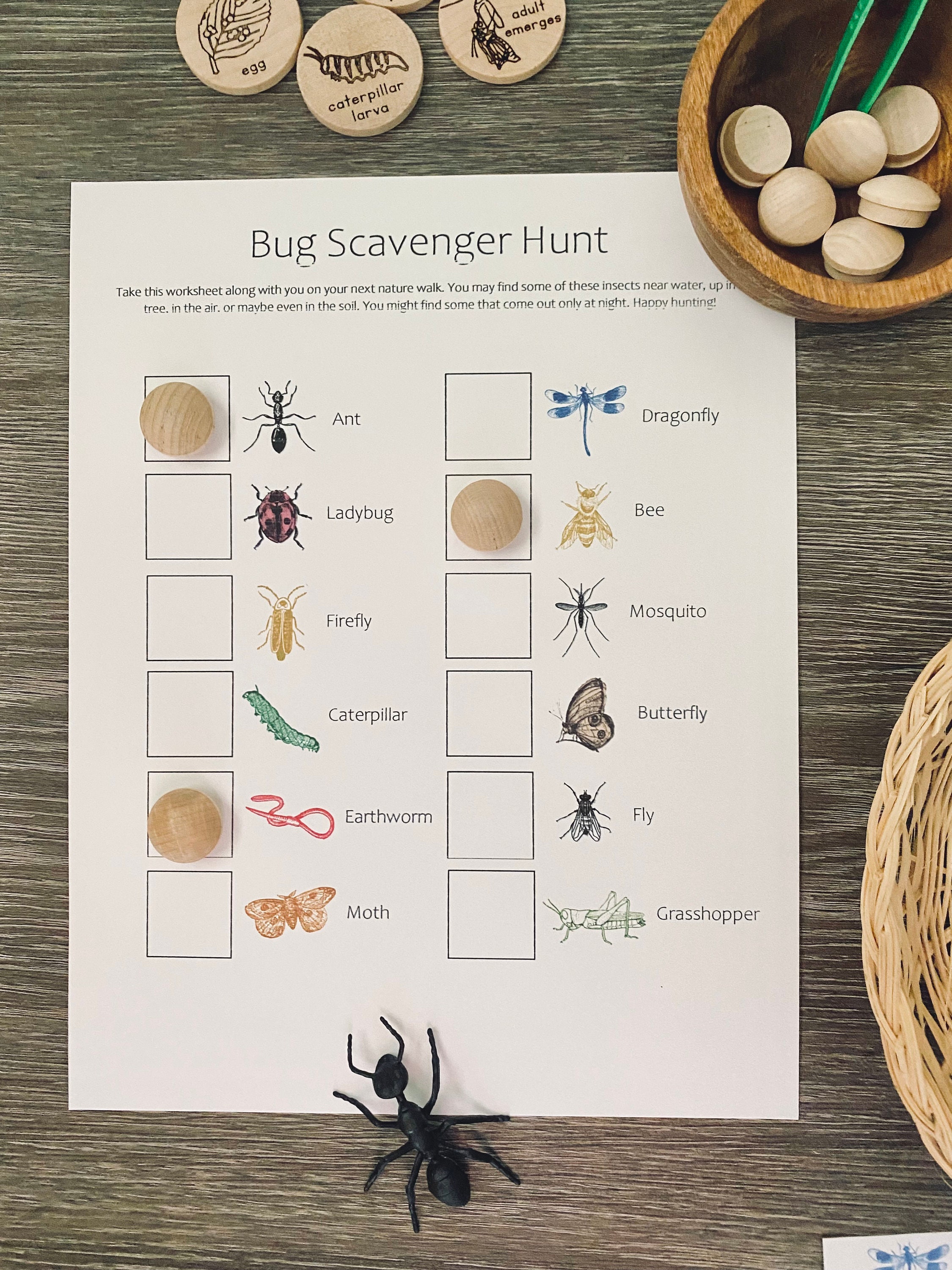 Bug Early Learning Bundle Unit Study for Ages 2-8 Nature Inspired Paly ...