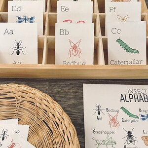 Bug Early Learning Bundle Unit Study for Ages 2-8 Nature Inspired Paly ...