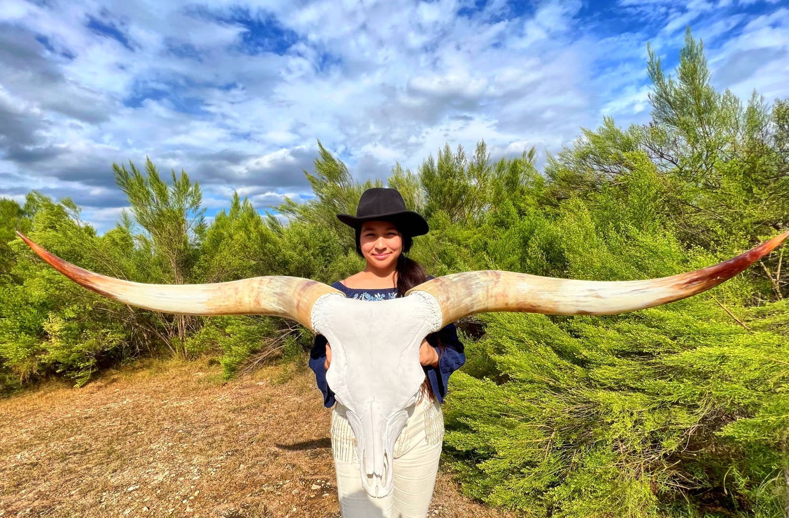 Biggest Bull Horns In The World