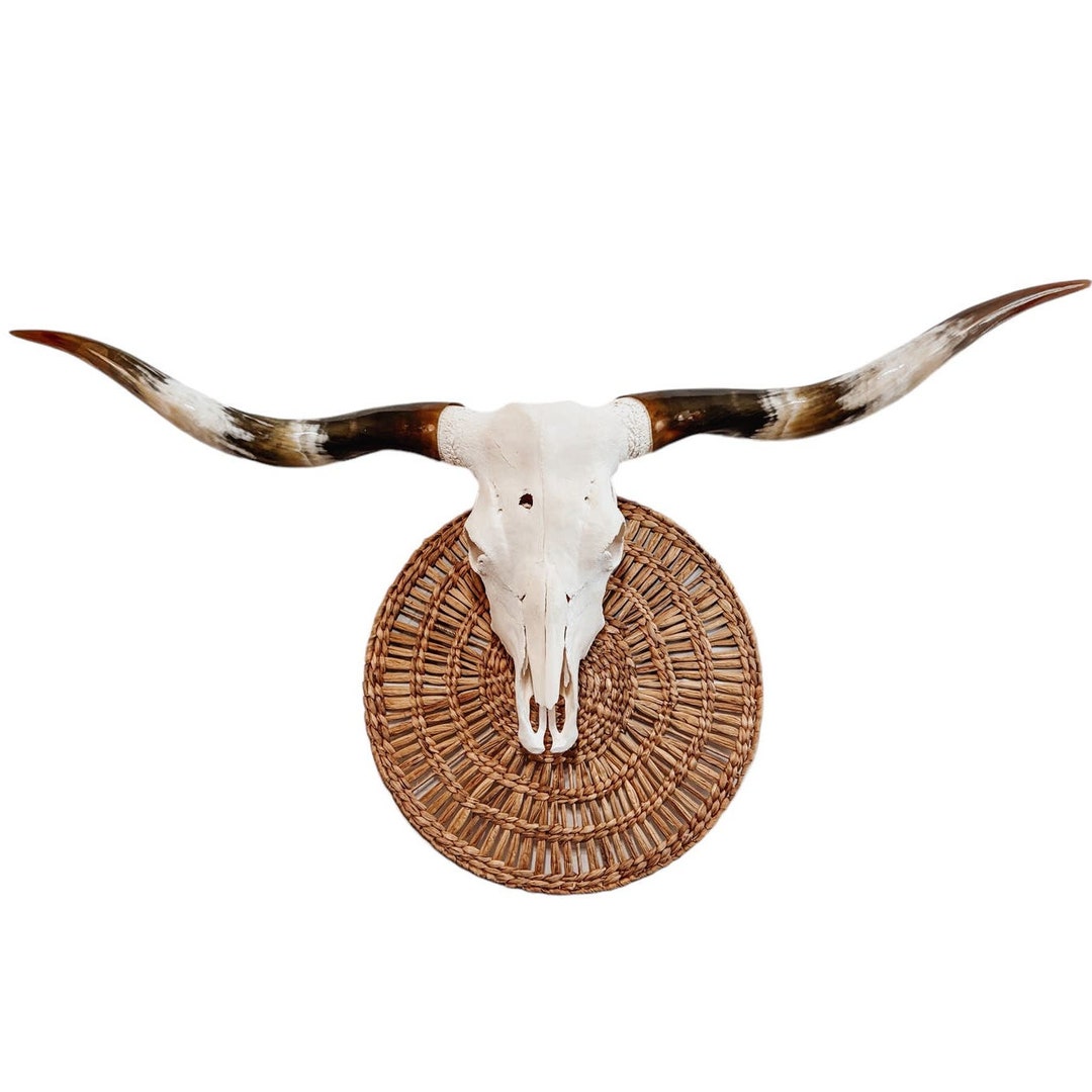 Real Longhorn Cow Skull Western Home Decor Rustic Farmhouse Art 608 - Etsy
