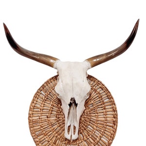 Corriente Steer Skull Western Home Accent Rustic Cowboy Heirloom 544 - Etsy