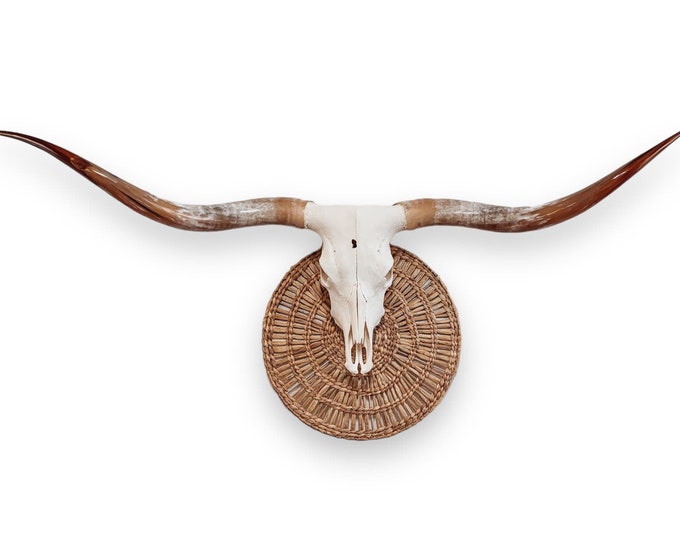 Real Texas Longhorn Steer Skull | Repurposed Art | Heirloom Western ...