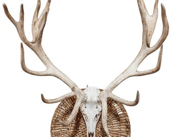 Red Stag Skull Euro - Etsy