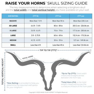 Longhorn Cow Skull Modern Contemporary Repurposed Authentic Art 741 - Etsy