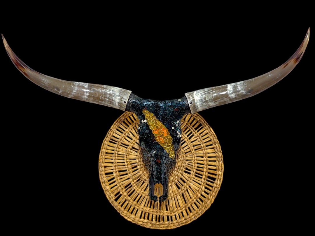 Mirrored Glass Longhorn Skull Art | Legacy Art Piece | One of a Kind ...