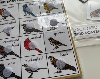 Birds Unit Study Bird Anatomy Bird Montessori 3 Part Cards - Etsy