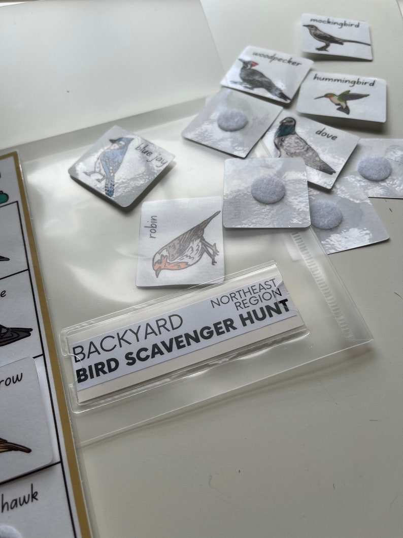 Backyard Birds Scavenger Hunt Game - Etsy