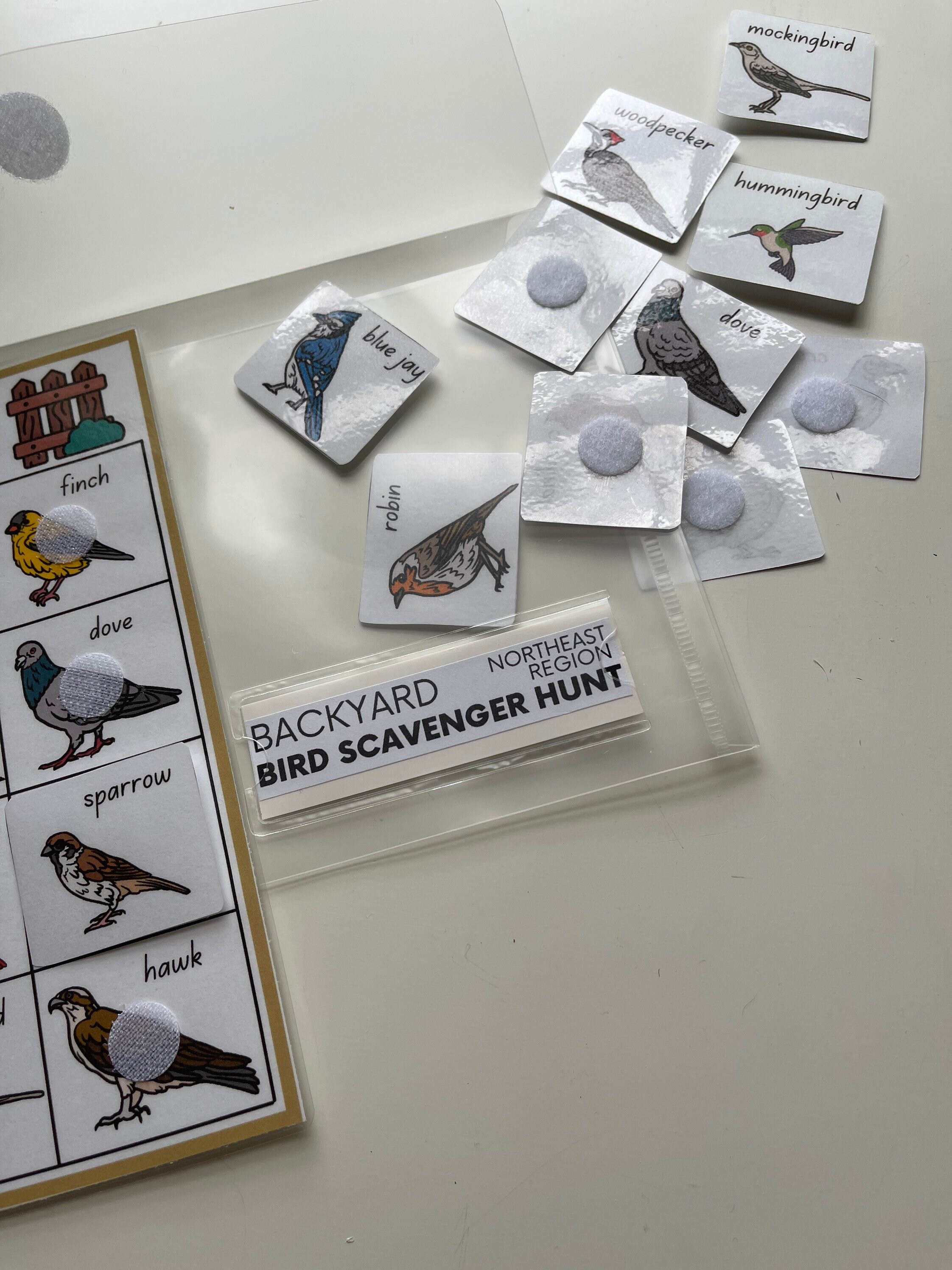 Backyard Birds Scavenger Hunt Game - Etsy
