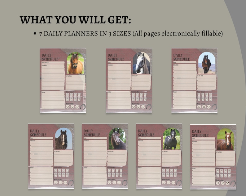 FILLABLE/EDITABLE Horse Themed Daily Schedule, Horse Themed Daily ...