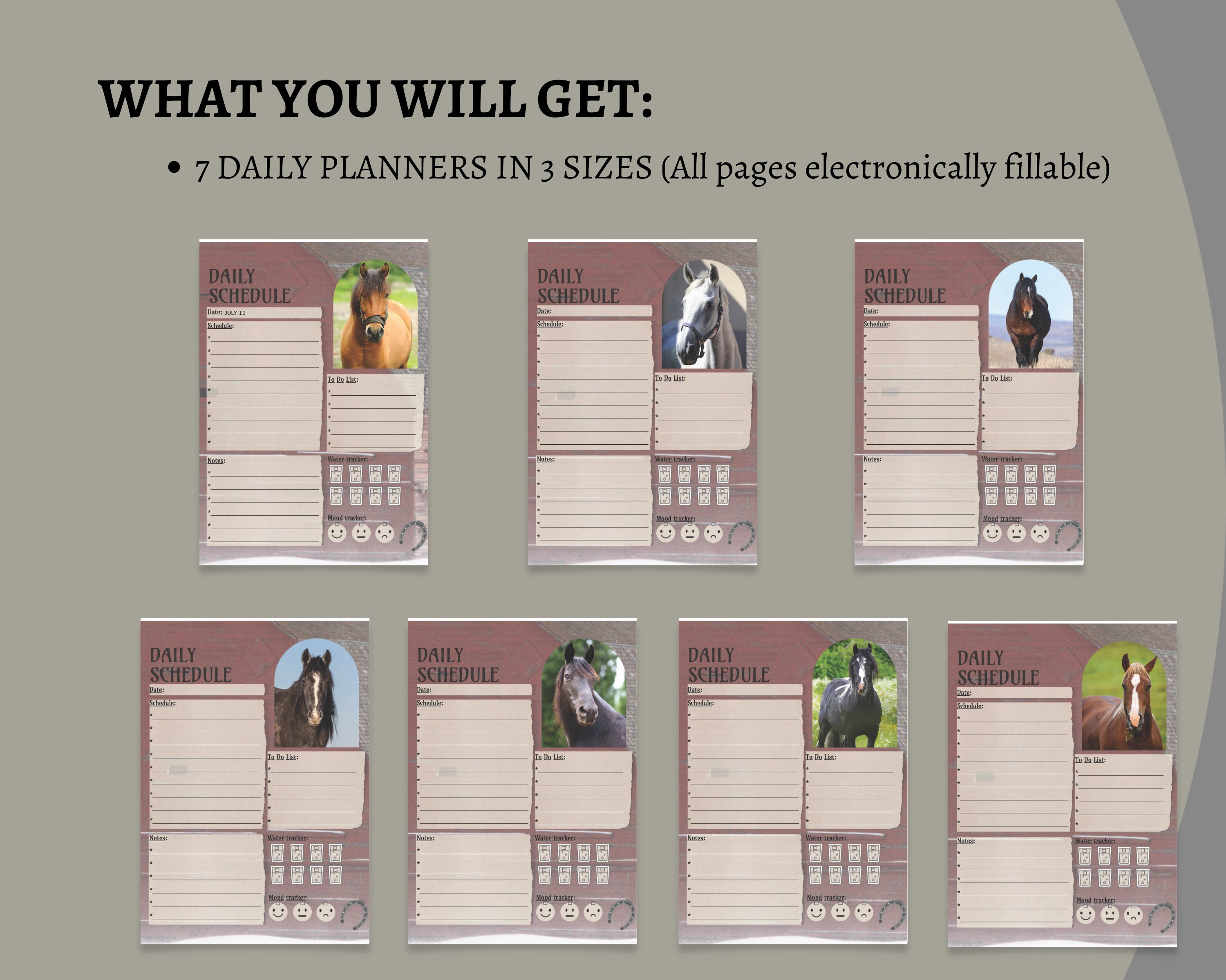 FILLABLE/EDITABLE Horse Themed Daily Schedule, Horse Themed Daily ...