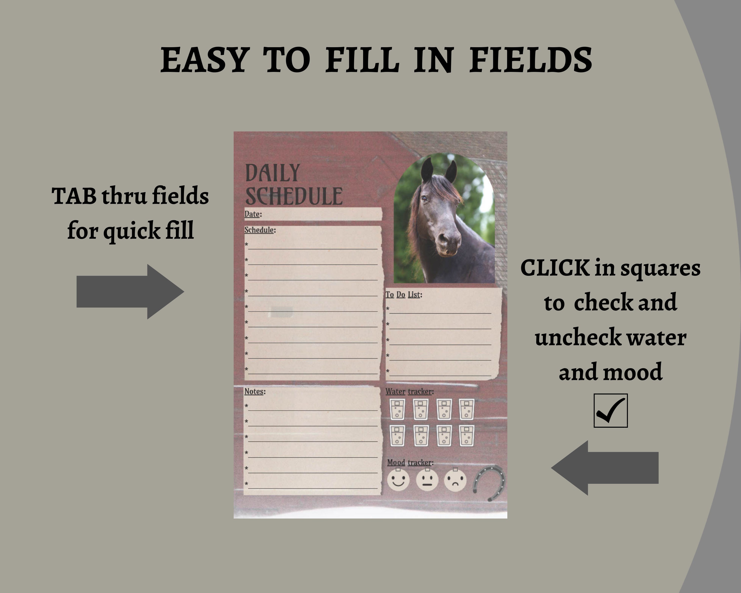 FILLABLE/EDITABLE Horse Themed Daily Schedule, Horse Themed Daily ...