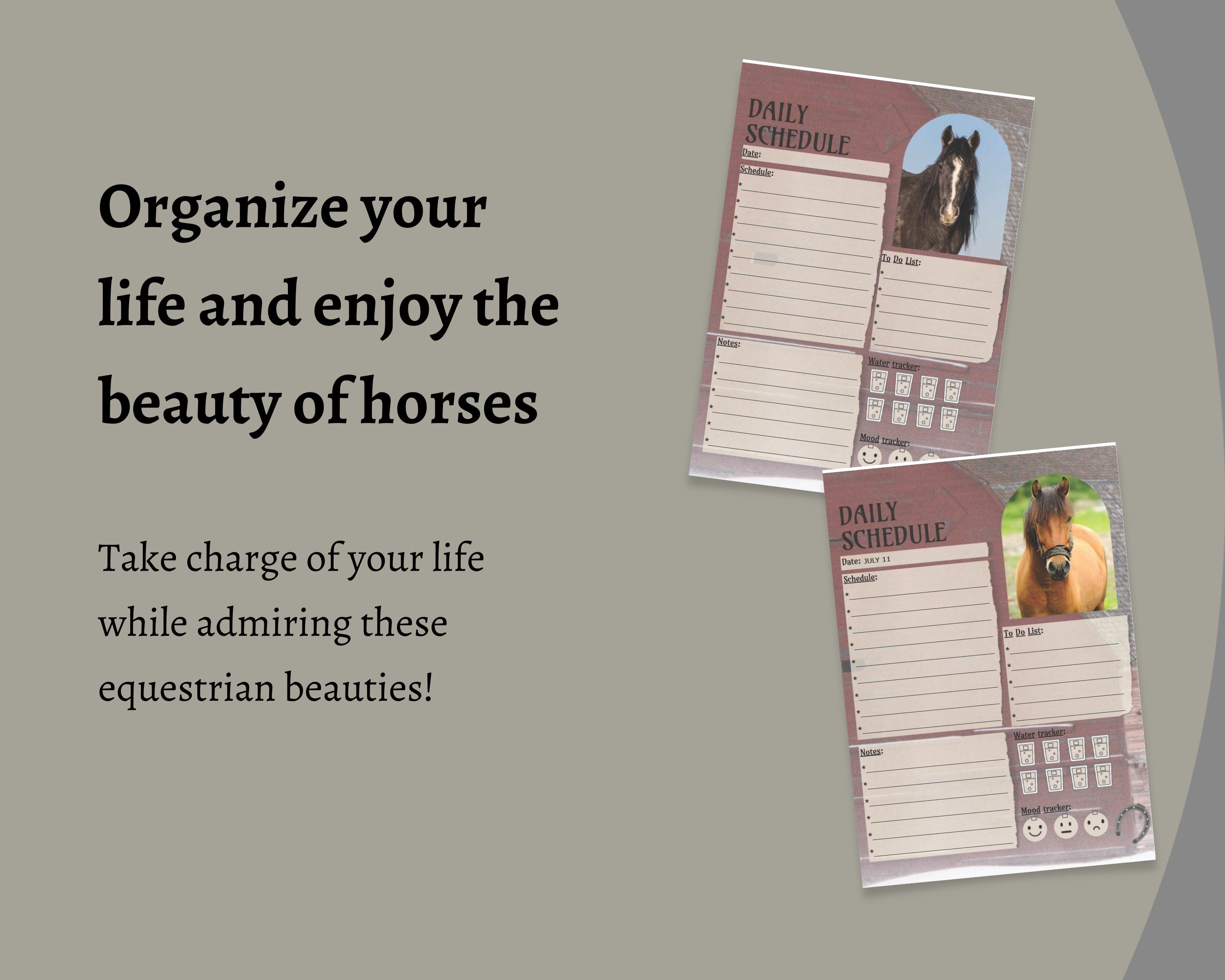 FILLABLE/EDITABLE Horse Themed Daily Schedule, Horse Themed Daily ...
