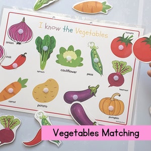 Preschool Curriculum, Fruits and Vegetables Sort, Toddler Busy Book ...