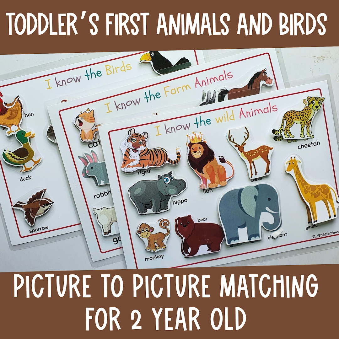 Animals Matching for Toddlers First Busy Book,preschool Curriculum ...