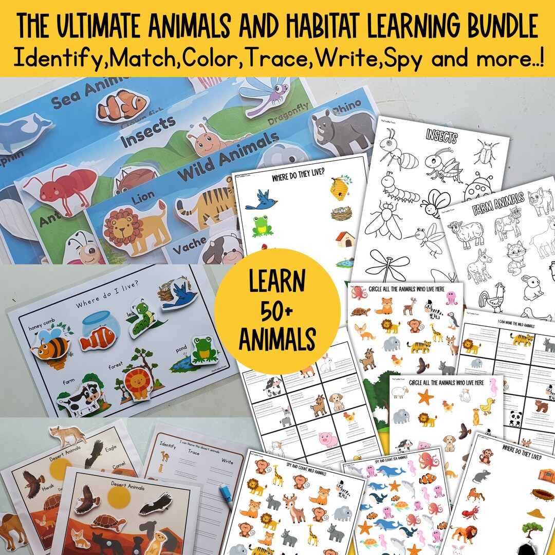 Animals Learning Preschool Bundle, Preschool Curriculum, Toddler ...