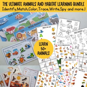 Animals Learning Preschool Bundle, Preschool Curriculum, Toddler ...