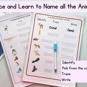 Arctic and Desert Animals Matching, Toddler Busy Book Page, Preschool ...