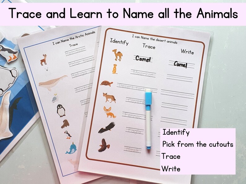 Arctic and Desert Animals Matching Toddler Busy Book Page - Etsy