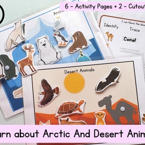 Animals Learning Preschool Bundle, Preschool Curriculum, Toddler ...