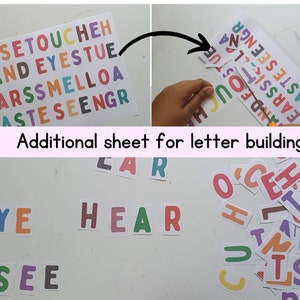 Five Senses Activity Posters, Bulletin Board Printables, My Body,large ...