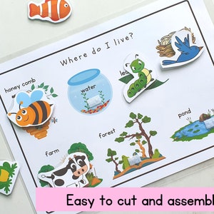 Toddler Busy Book Activity, Preschool Curriculum Homeschool, Toddler ...