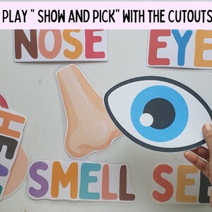 Five Senses Activity Posters, Bulletin Board Printables, My Body,large ...