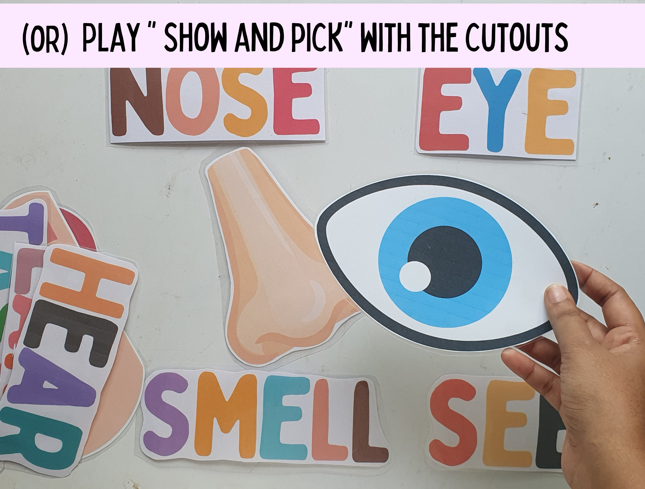Five Senses Activity Posters, Bulletin Board Printables, My Body,large ...