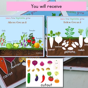 Toddler Busy Book Activity, Busy Binder, Preschool Curriculum, Plants ...