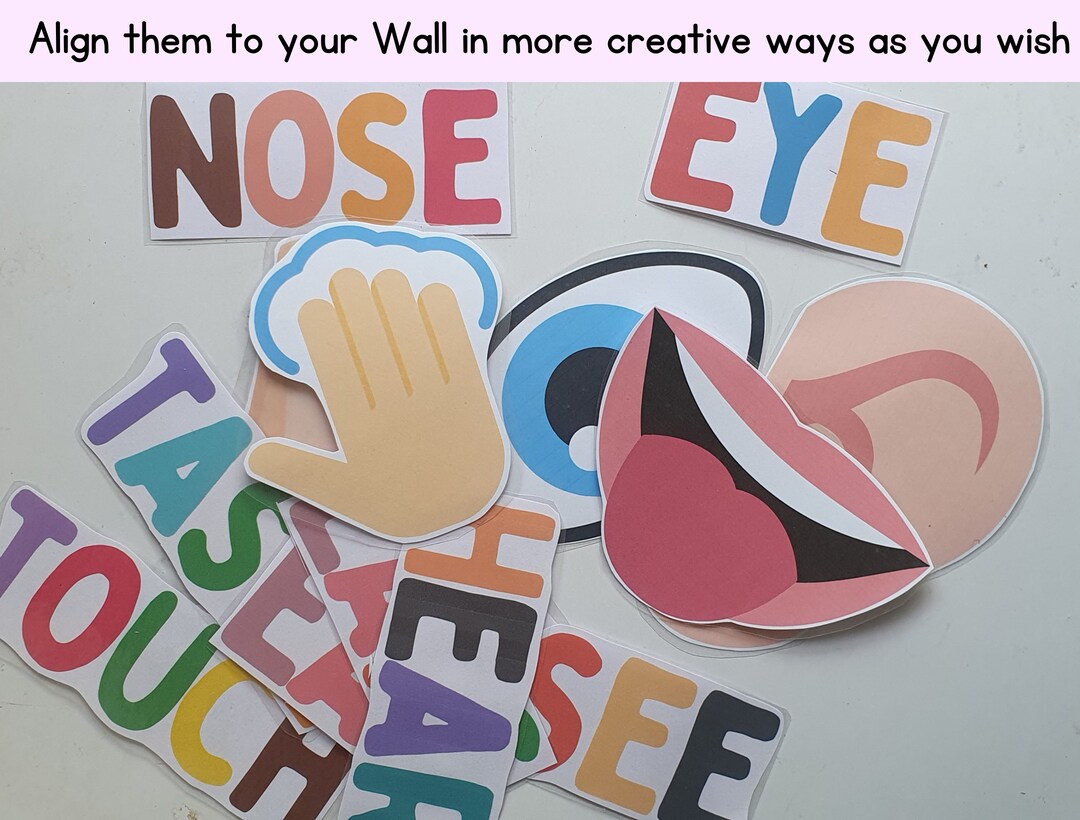 Five Senses Activity Posters, Bulletin Board Printables, My Body,large ...