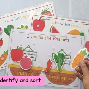 Preschool Curriculum, Fruits and Vegetables Sort, Toddler Busy Book ...