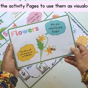 All About Plants Preschool Printable, Preschool Curriculum,preschool ...