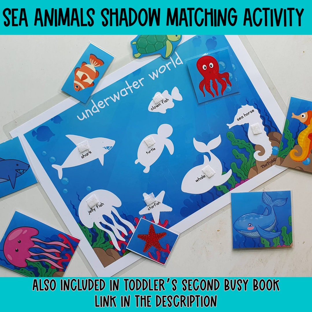 Toddler Busy Book Activity,first Learning Binder, Matching Activity ...