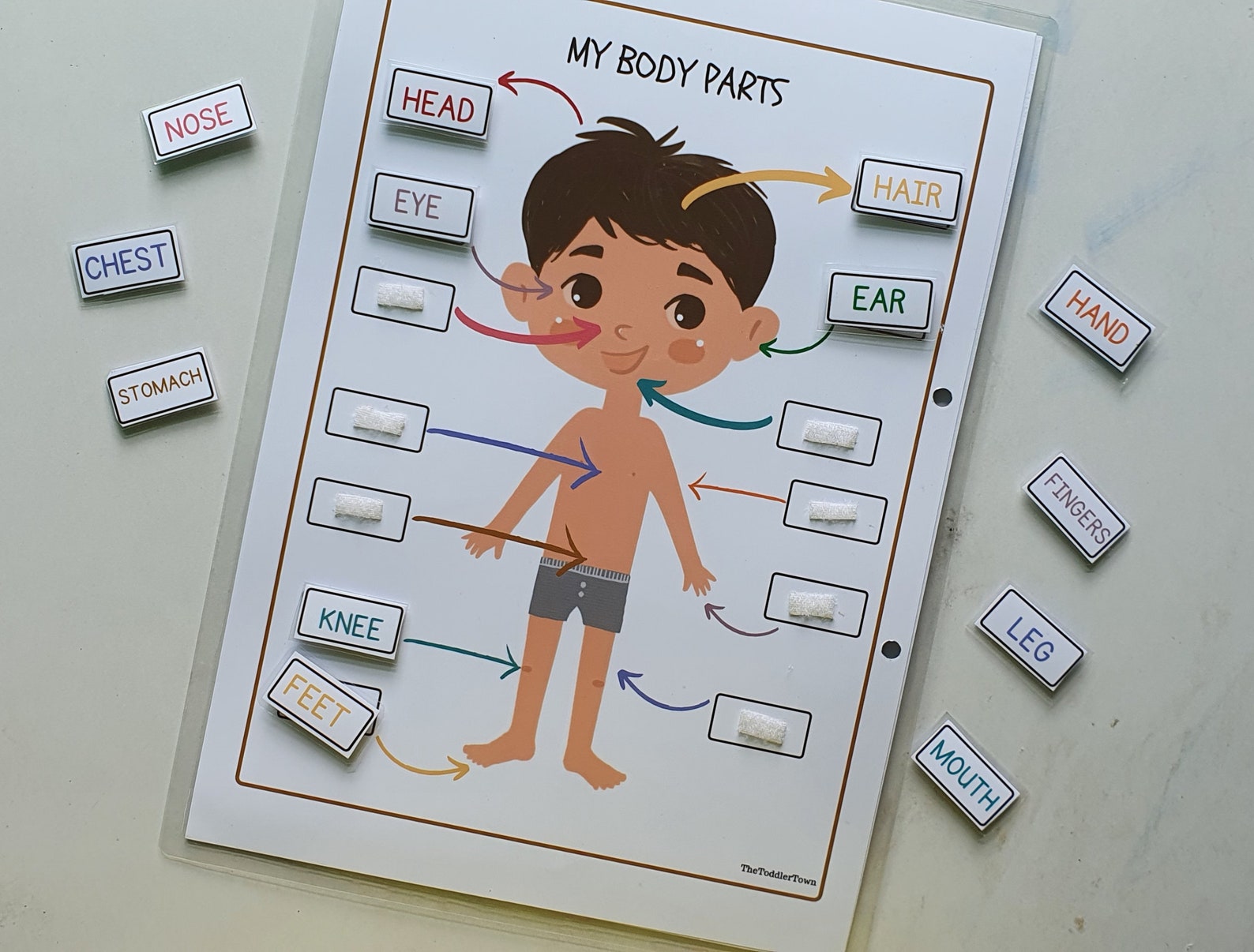 Busy Binder Activitybody Partshomeschool - Etsy