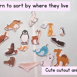 Animals Learning Preschool Bundle, Preschool Curriculum, Toddler ...