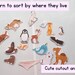 Animals Learning Preschool Bundle, Preschool Curriculum, Toddler ...