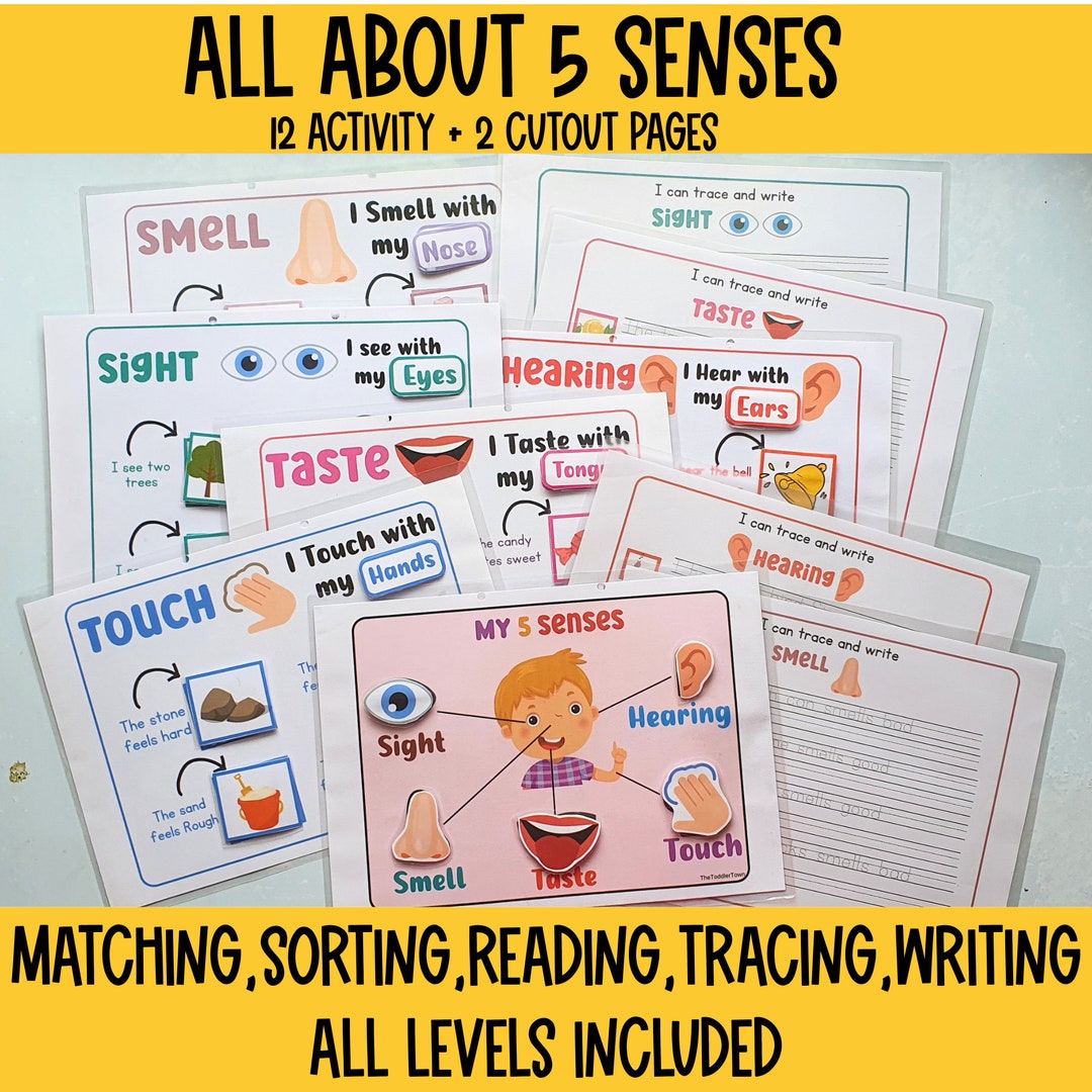 Five Senses Leaning Busy Binder,toddler Busy Book, Preschool Curriculum ...
