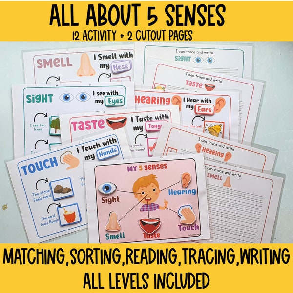 Organs of Senses - Etsy