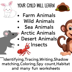 Animals Learning Preschool Bundle, Preschool Curriculum, Toddler ...