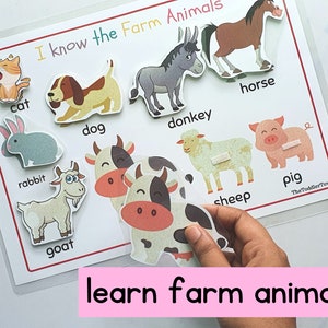 Animals Matching for Toddlers First Busy Book,preschool Curriculum ...